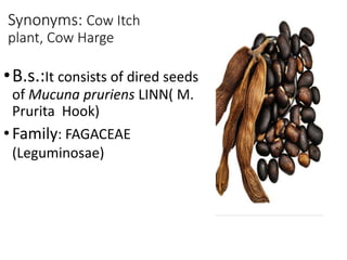 Mucuna seed | PPTX