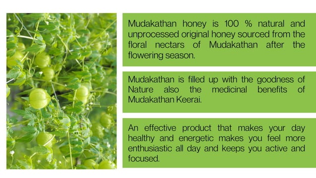 Mudakathan honey - Wild honey hunters.pptx