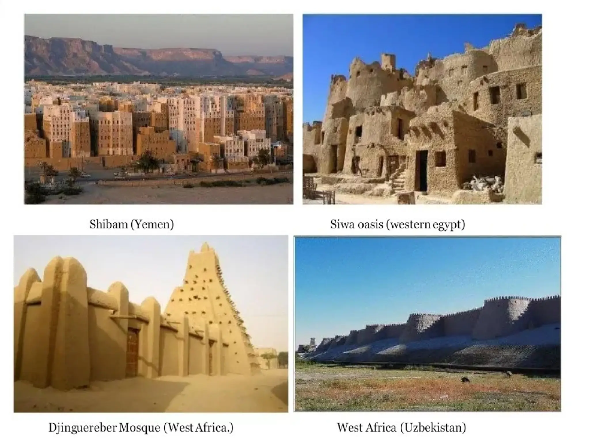 adasd dawsd ad dasd dsf adasd aasd asd adas | PPTX