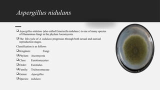 malic acid from Aspergillus nidulans by using the agro-industrial ...