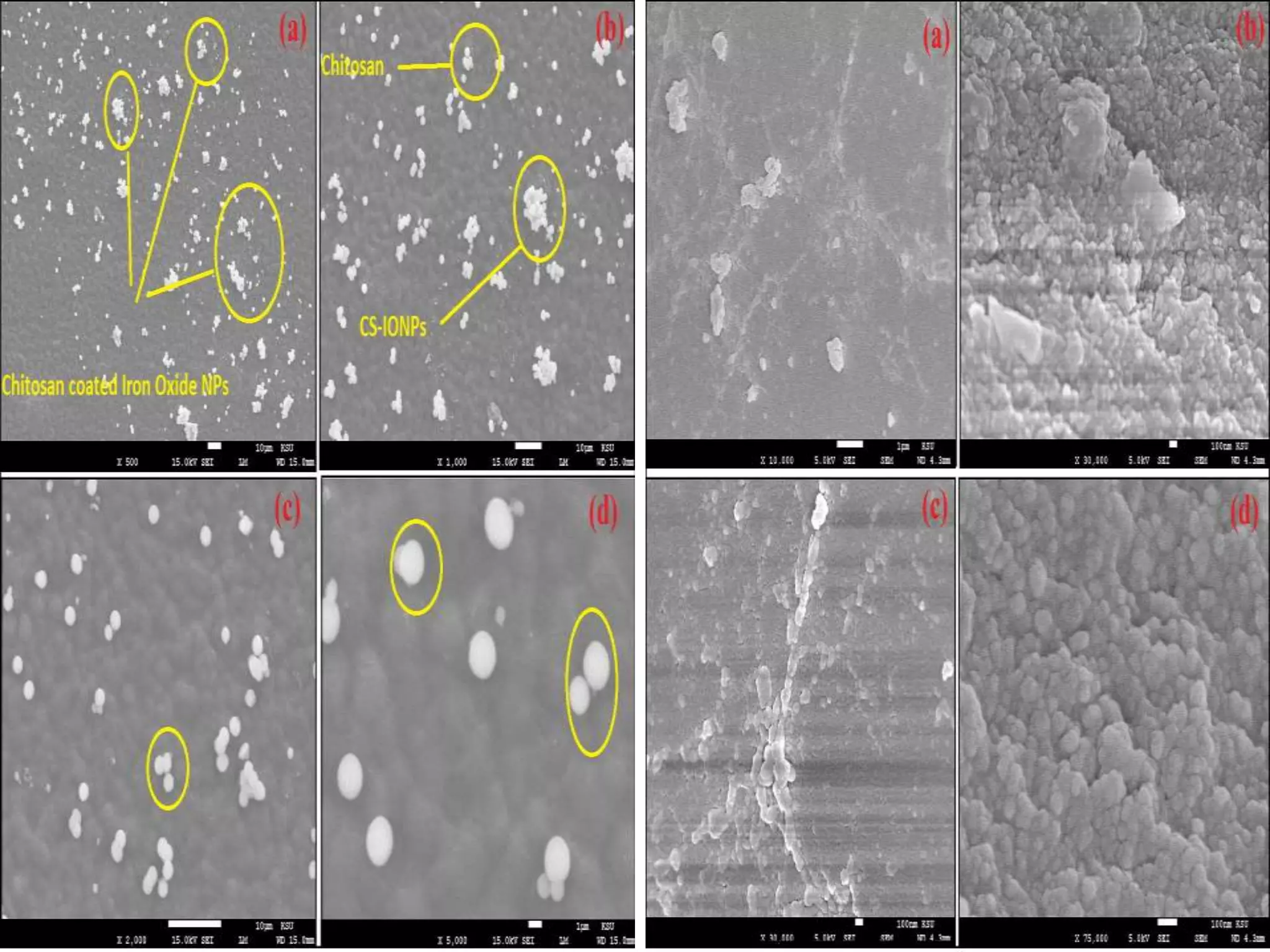 Mudasir Presentation.pptx