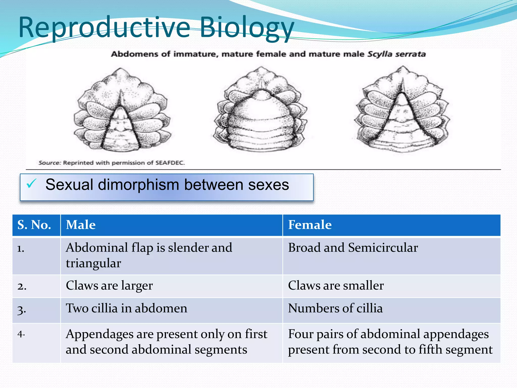 seed production of mud crab | PPTX
