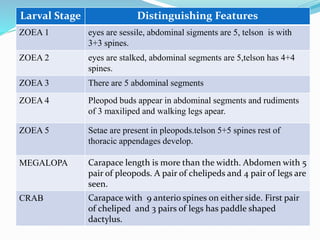 seed production of mud crab | PPTX