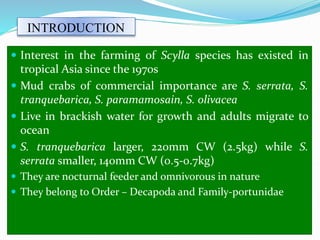 seed production of mud crab | PPTX