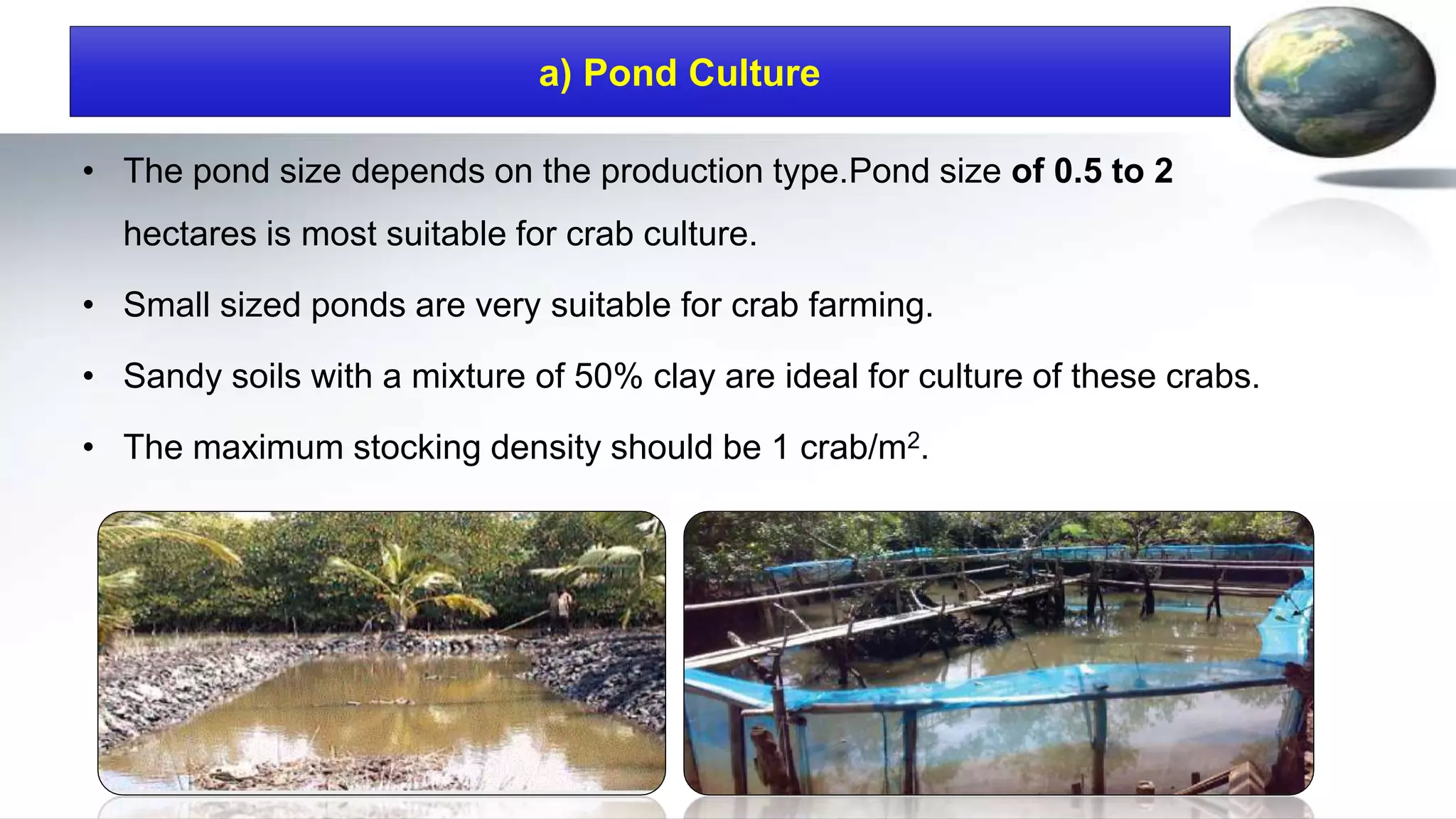 Mud crab farming tarang shah | PPTX