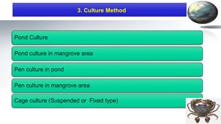 Mud crab farming tarang shah | PPTX