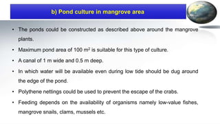 Mud crab farming tarang shah | PPTX