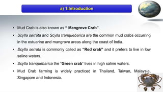 Mud crab farming tarang shah | PPTX