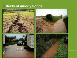 Muddy Floods And Compacted Soils – Current And Future | PPT