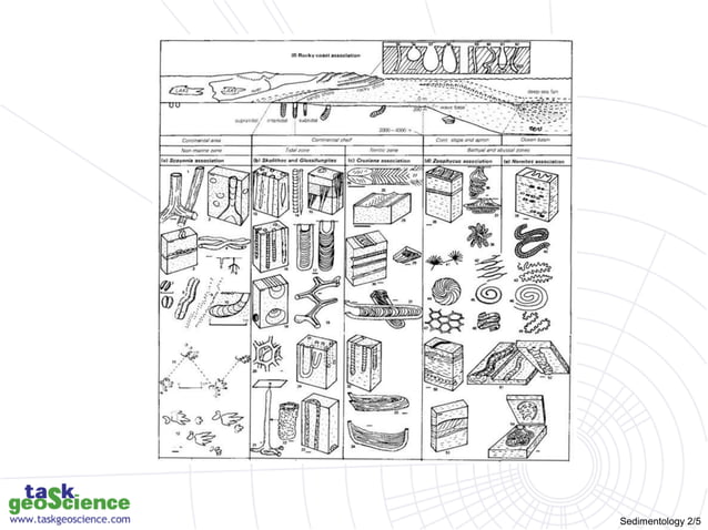 Muddy heterolithics.ppt