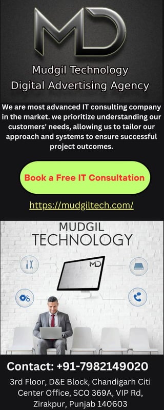 Mudgil Technology IT consulting company.pdf