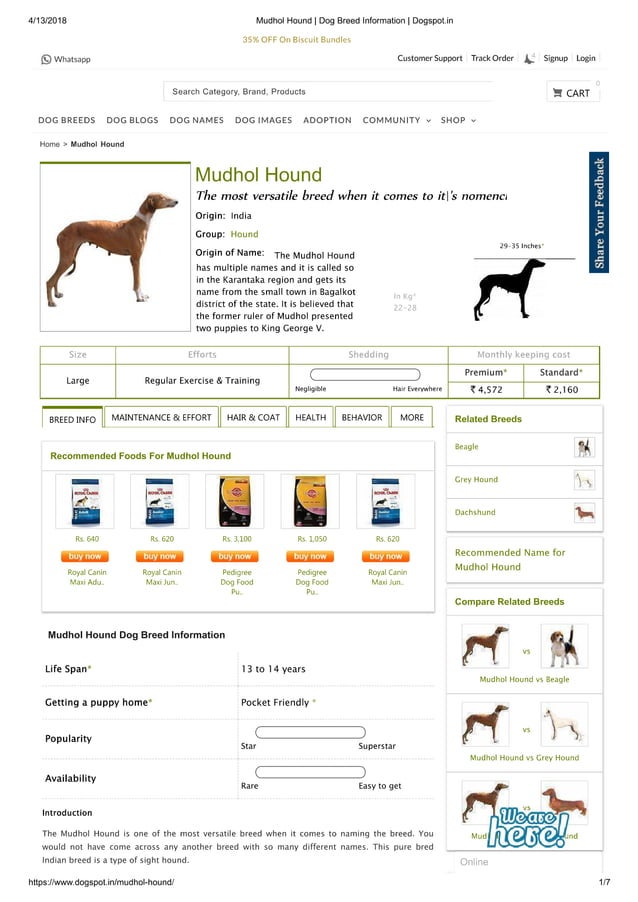 Mudhol hound dog spot | PDF