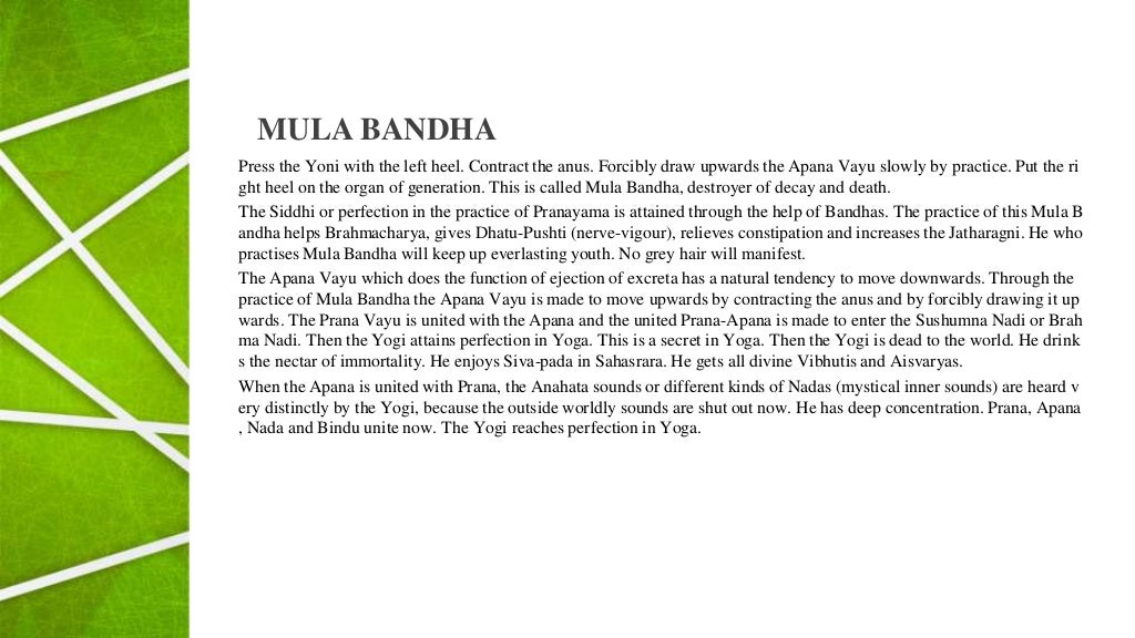 Mudra Bandha Integrated Concept.ppt
