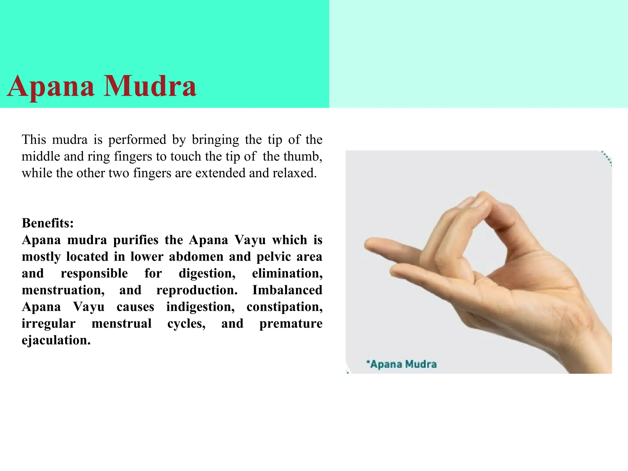 MUDRA PRACTICE FOR ELDERS AND STUDENTS.ppt