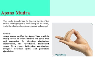 MUDRA PRACTICE FOR ELDERS AND STUDENTS.ppt
