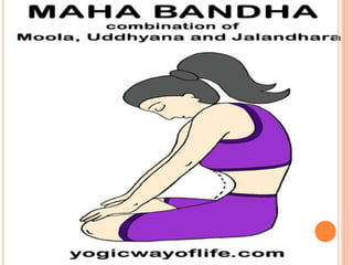 Maha Bandha