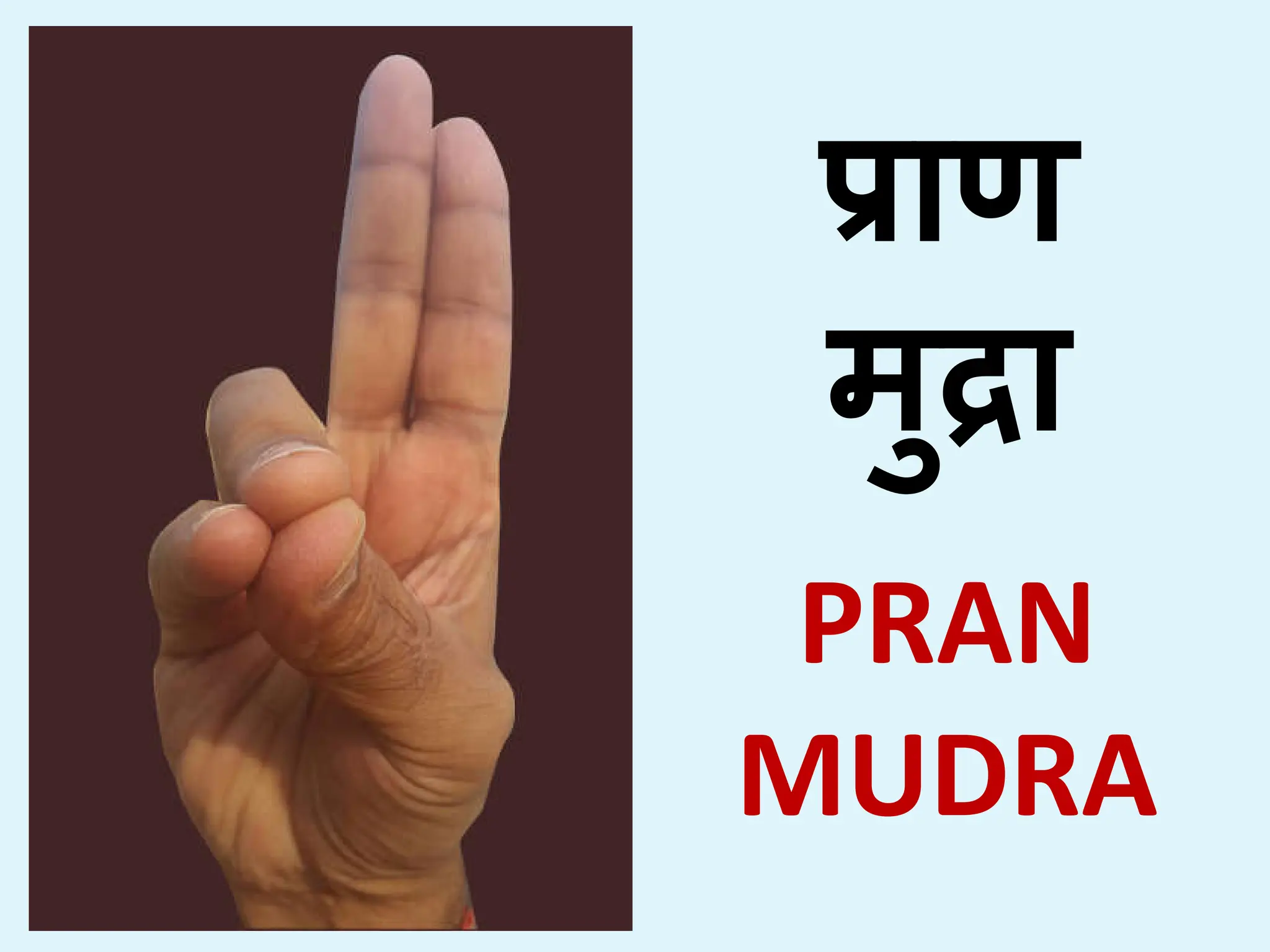 MUDRA VIGYAN- SCIENCE OF HAND MUDRAS of ANCIENT INDIA.pdf