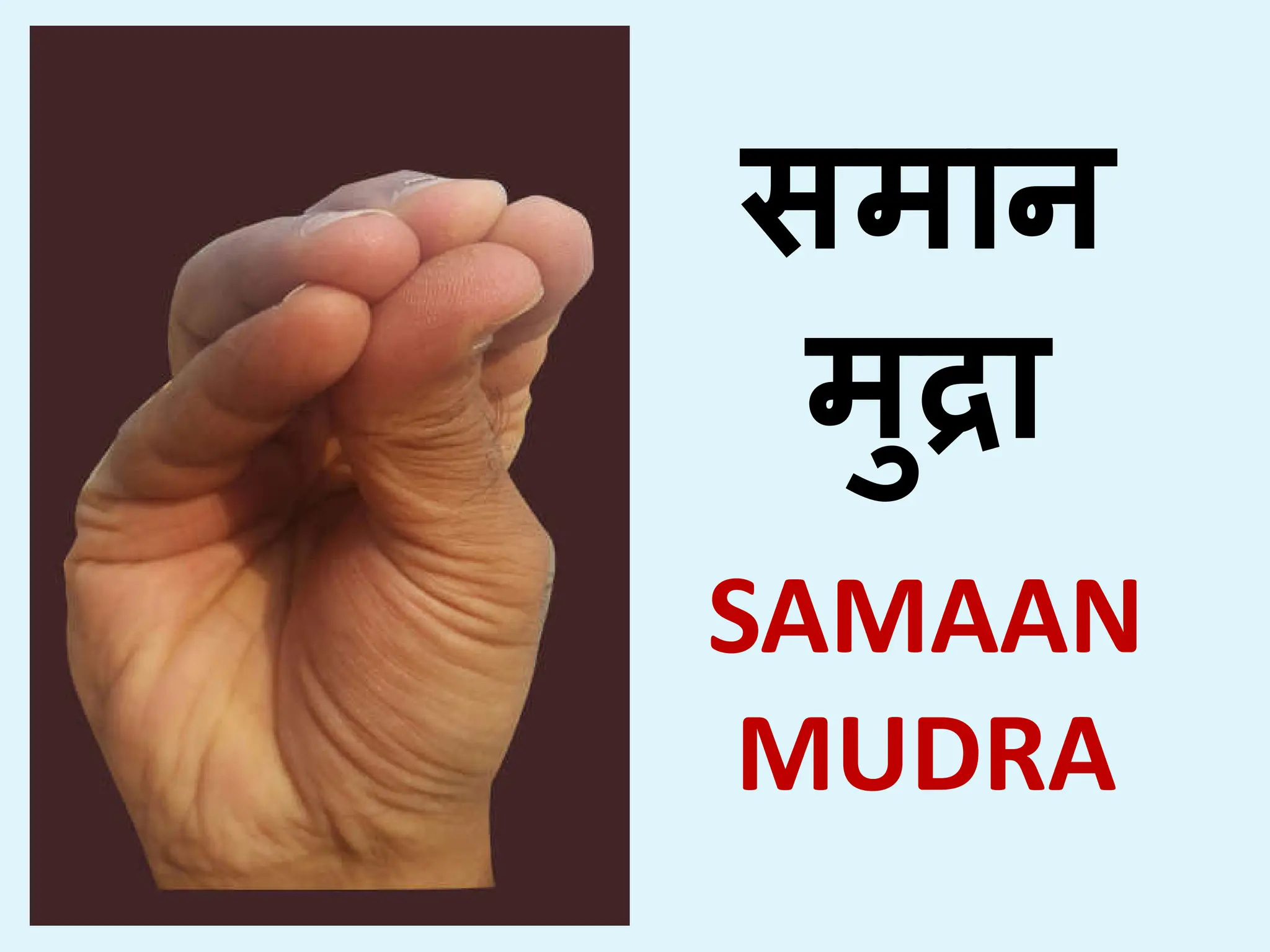 MUDRA VIGYAN- SCIENCE OF HAND MUDRAS of ANCIENT INDIA.pdf