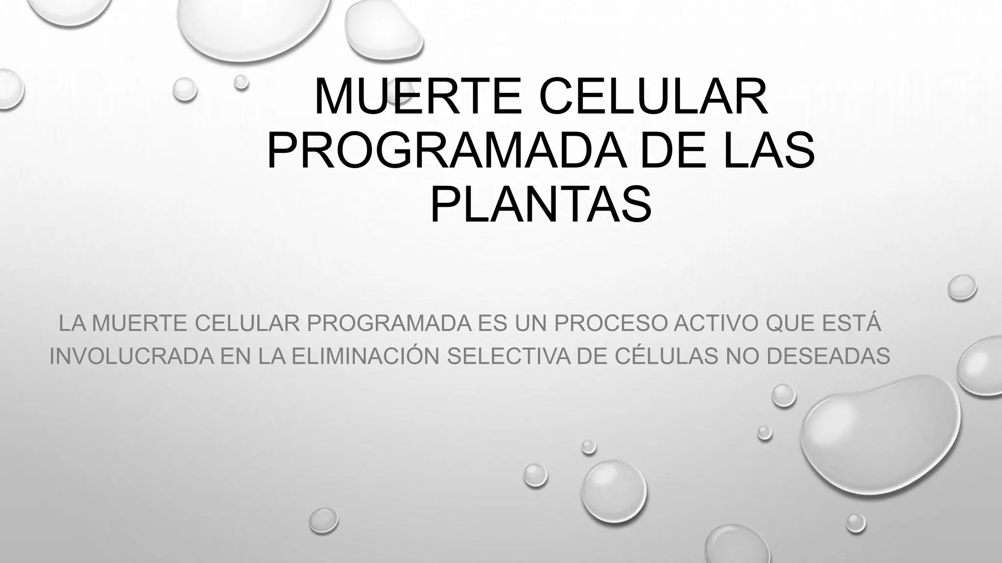 Muerte celular programada de las plantas (Sara Canchignia) | PPTX