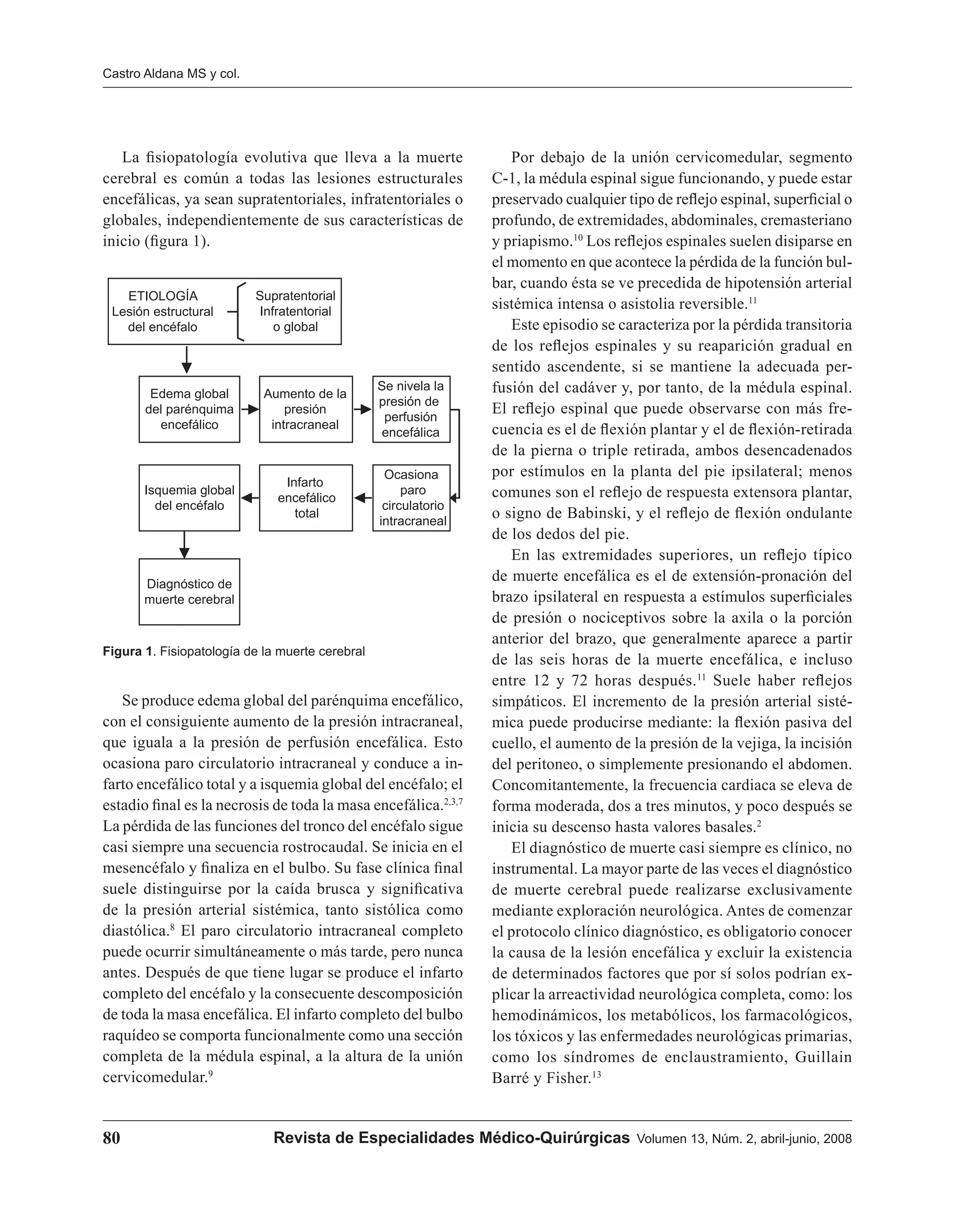 Muerte cerebral | PDF