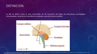 muerte cerebral en pediatria. hps. victor rodolfo marquez | PPTX