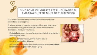 MUERTE FETAL.pptx