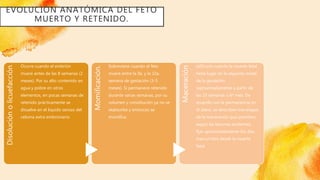 MUERTE FETAL.pptx