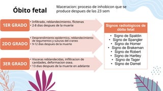 ginecooooooooobstetricia. MUERTE FETAL.pptx