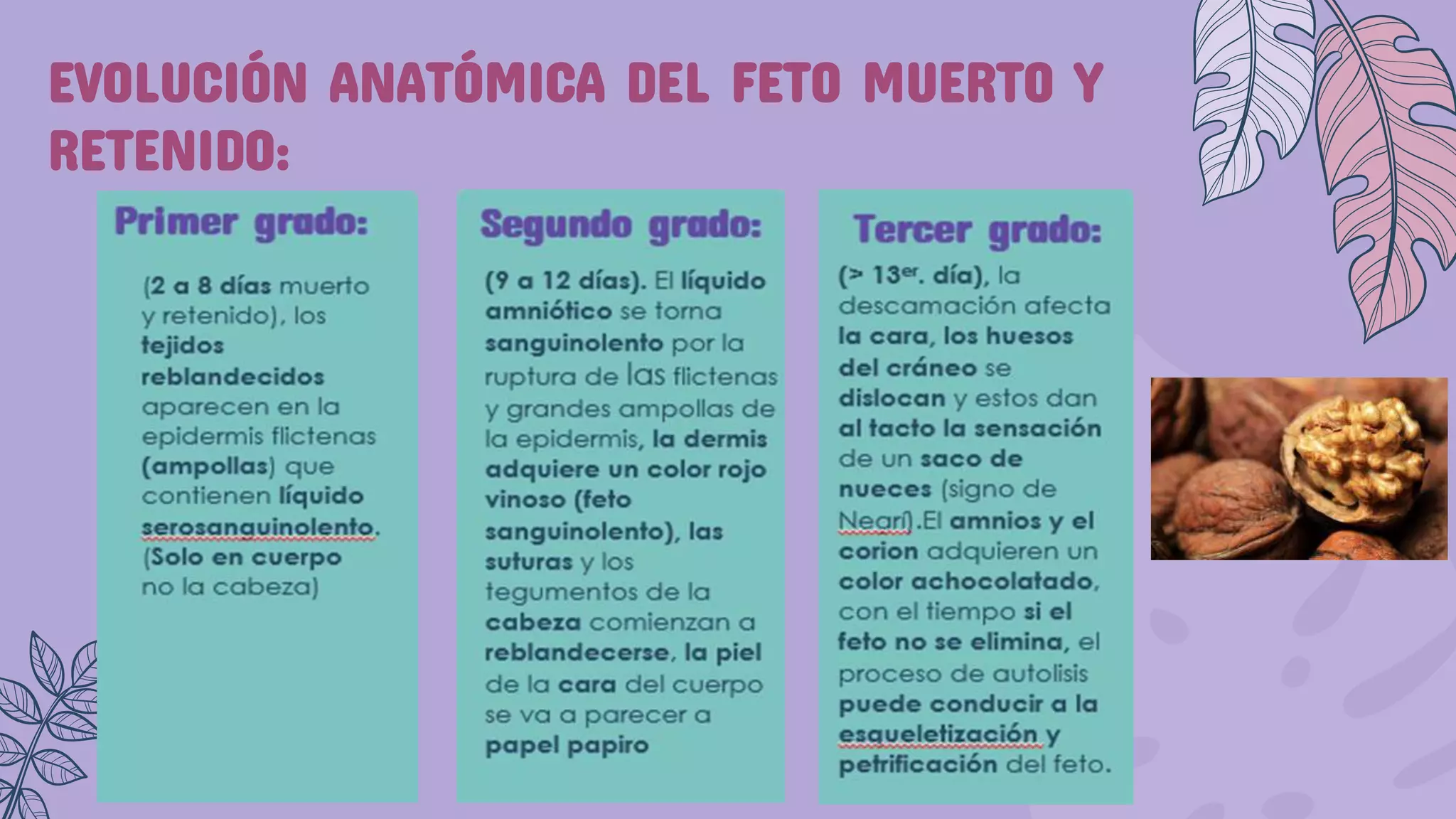 Muerte Fetal Hospital Universitario Sucre Bolivia.pptx | Infertility ...