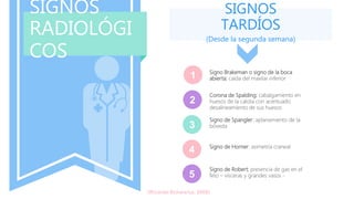 muerte fetal intrauterina.pptx