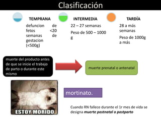Muerte fetal in utero | PPTX
