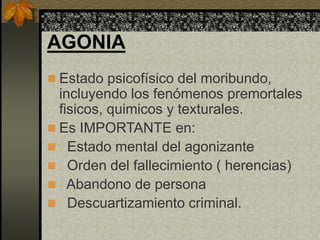 Muertes y definiciones tanatologia | PPT
