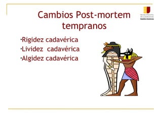 ENJ-300: Muerte y Cambios Post-mortem | PPT