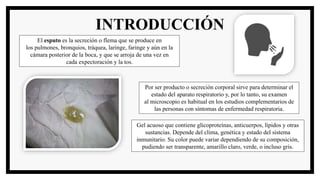 MUESTRA BIOLOGICA ESPUTO.pptx