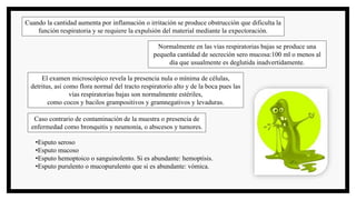 MUESTRA BIOLOGICA ESPUTO.pptx