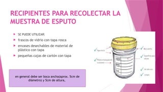 MUESTRA BIOLOGICA ESPUTO Y SECRECIONES.pptx