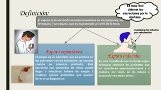 Muestra de esputo | PPTX