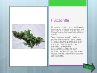 Muestrario de quelites | PPTX