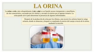 MUESTRAS BIOLÓGICAS ORINA.pptx