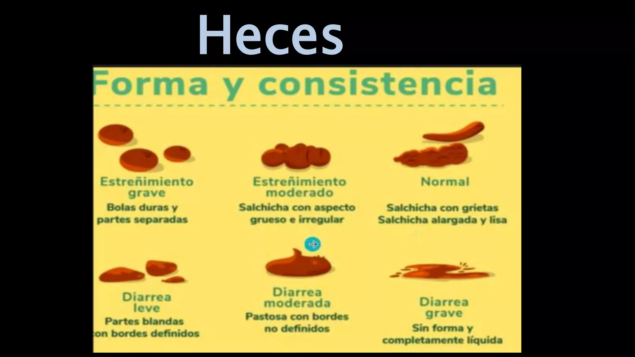 muestras de heces.pptx