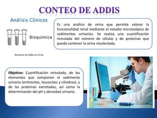 Muestras de orina final | PPTX