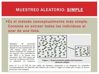 Muestreo Aleatorio | PPTX
