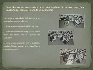 Muestreo de suelo rev 1 (1) | PPTX