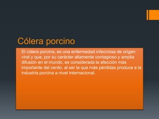 Muestreo para la detección de cólera porcino | PPTX