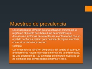 Muestreo para la detección de cólera porcino | PPTX