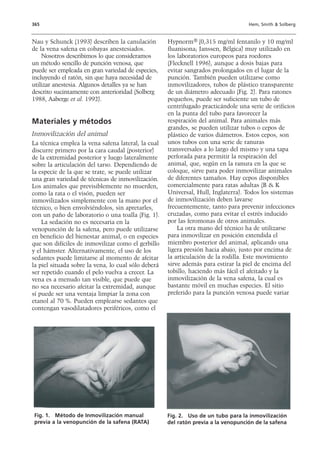 Muestreo sanguineo de ratasen vena safena | PDF
