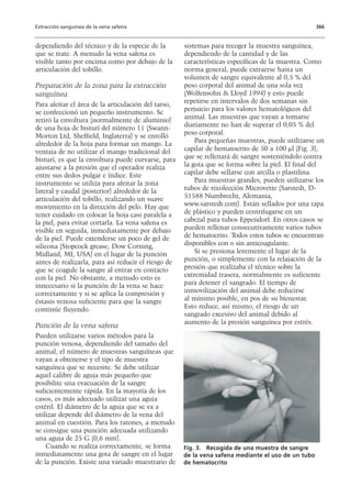 Muestreo sanguineo de ratasen vena safena | PDF