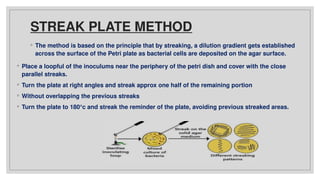 Isolation & Preservation of Pure Culture.pptx
