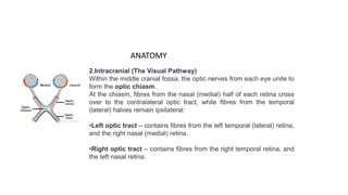 MUGABO.pptxnnnnnnnnnnnnnnnnnnnnnnnnnnnnnn | PPT