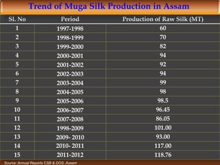 Muga culture; endemic practice of assam | PPTX